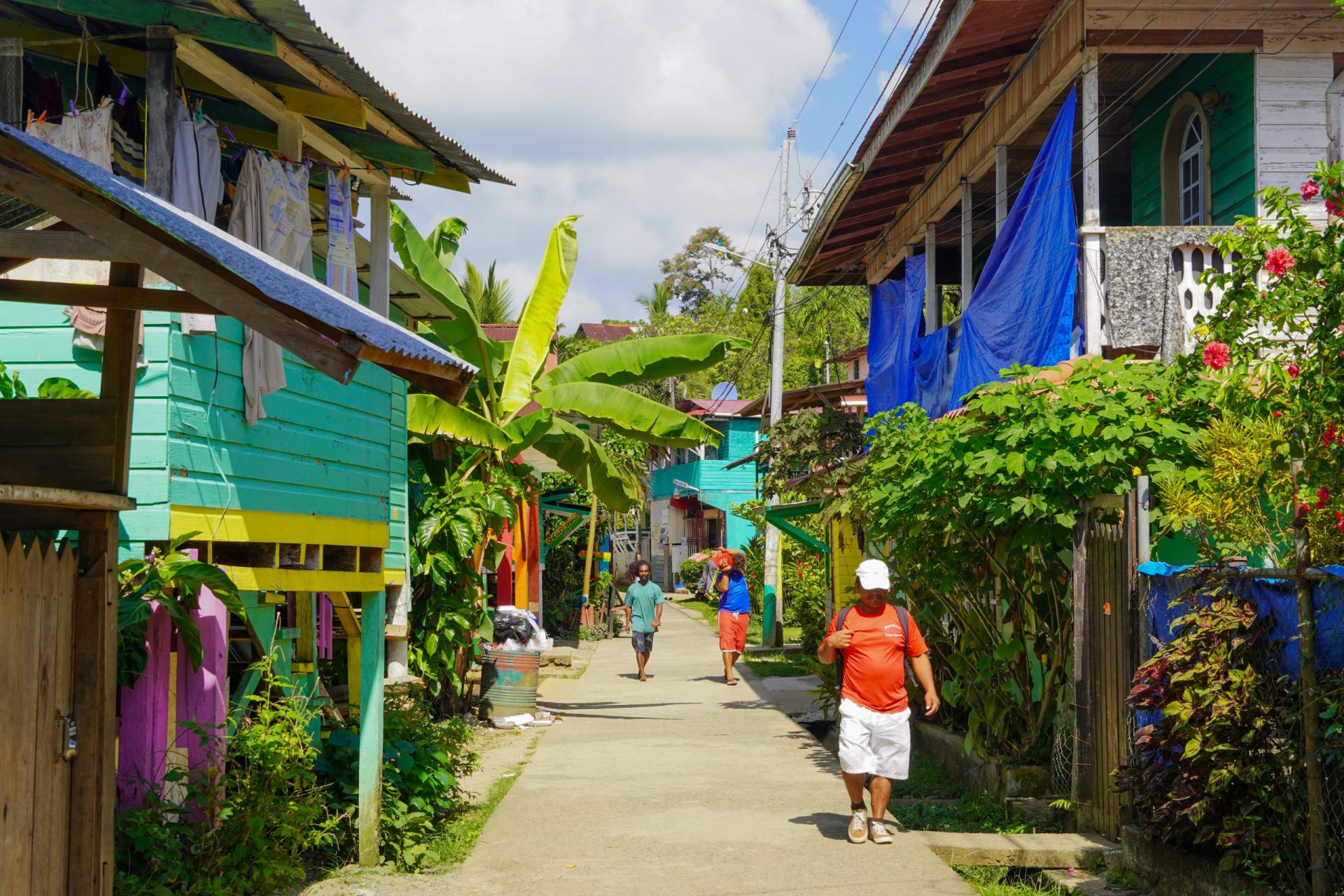 Ontdek de gratis wandeling naar Red Frog Beach - Backpackert